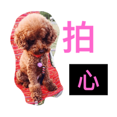 Mibobo_20221216150348 - LINE スタンプ | LINE STORE