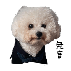 Dobby wants to say – LINE貼圖 | LINE STORE