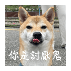 Wanggg_20221223031005 - LINE スタンプ | LINE STORE