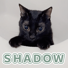 SHADOW's LIFE - LINE スタンプ | LINE STORE