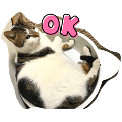 terusa_20221225155457 – LINE stickers | LINE STORE