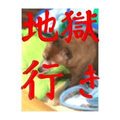 MIKEMIKE_20221225161013 – LINE貼圖 | LINE STORE
