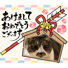 yu-p_20221226202723 – LINE stickers | LINE STORE