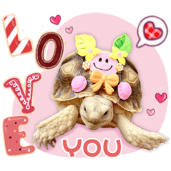 Candy Chang_20221227120916 – Stickers LINE | LINE STORE