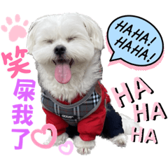 Emma Han_20221228192611 – LINE 스티커 | LINE STORE