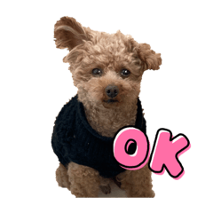 thunder dog_20221229205705 – LINE stickers | LINE STORE
