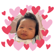 Tiger_Prp_1_20221230151616 – LINE stickers | LINE STORE