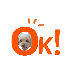 Rina_20230101172935 – LINE stickers | LINE STORE