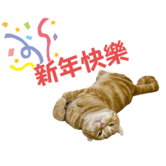 SEN SIN Cat Leader – LINE stickers | LINE STORE