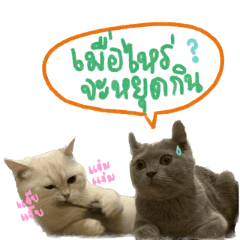 We.cat.cats Vol.3 – LINE stickers | LINE STORE