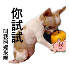 Cute aBo Part1 – LINE貼圖 | LINE STORE