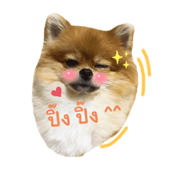 KUMA PomPom – LINE stickers | LINE STORE