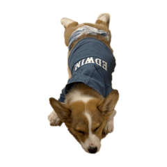 shion_20230107203801 – LINE stickers | LINE STORE