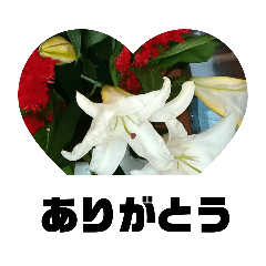 了解ね！ - LINE スタンプ | LINE STORE