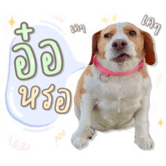 Mootoo V.1 – LINE stickers | LINE STORE