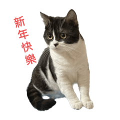 Starlin_20230111191631 – LINE stickers | LINE STORE