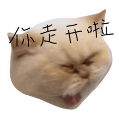 sooooo saddddd – LINE 스티커 | LINE STORE