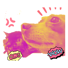 Arco_20230112211703 – LINE stickers | LINE STORE