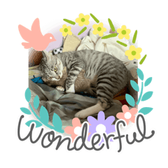 Wul_20230113180047 - Stiker LINE | LINE STORE