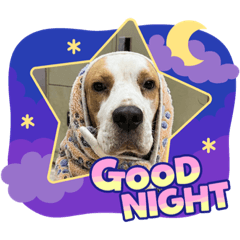 Yunyo_20230117031443 - LINE スタンプ | LINE STORE