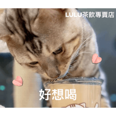 Lulu tea_20230117164708 – LINE stickers | LINE STORE