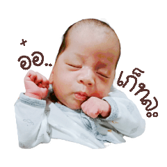 Hochi&co_20230117151729 – LINE stickers | LINE STORE