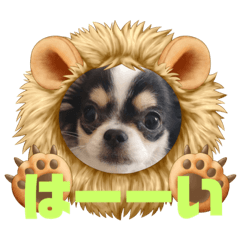 Eisan_20230117212549 – LINE stickers | LINE STORE