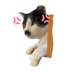 Wu wu_cat – LINE stickers | LINE STORE
