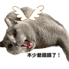 Amin_20230120150819 – LINE stickers | LINE STORE