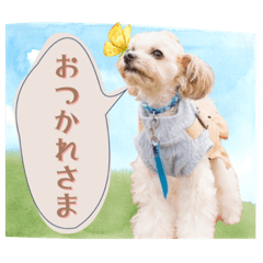 あんずちゃんキュート水彩たっちスタンプ - LINE スタンプ | LINE STORE