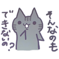 Tanuki&Neko_20230121183954 – LINE stickers | LINE STORE
