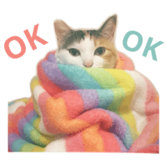 Heee_20230126185813 - LINE スタンプ | LINE STORE