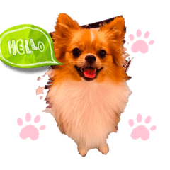 Nanny_20230127022904 - LINE スタンプ | LINE STORE