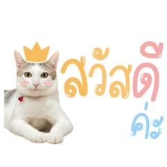 Ichi cutie cat – LINE stickers | LINE STORE