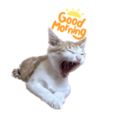 chengkai_20230130002601 - LINE スタンプ | LINE STORE