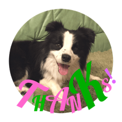 Dog lover！ - LINE スタンプ | LINE STORE