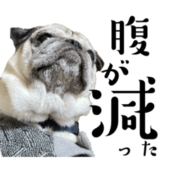 Kanamaru_20230204233556 – LINE stickers | LINE STORE
