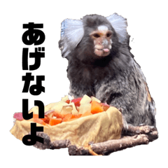 kuma^_20230206223128 – LINE stickers | LINE STORE