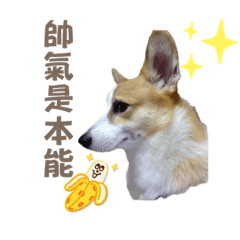 Forever KUBI - Stiker LINE | LINE STORE