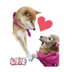 Iyui_20230209121540 - Stiker LINE | LINE STORE