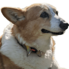 Big Marron&Gazilla – LINE stickers | LINE STORE