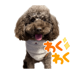 pooh&marron_20230213014103 – LINE stickers | LINE STORE