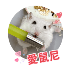 Shing_20230214135527 - LINE スタンプ | LINE STORE