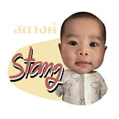 Stang 3 months – LINE貼圖 | LINE STORE
