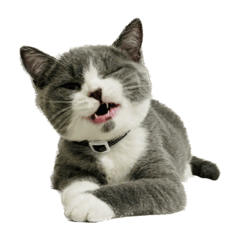 Muzi_20230215093446 – LINE stickers | LINE STORE