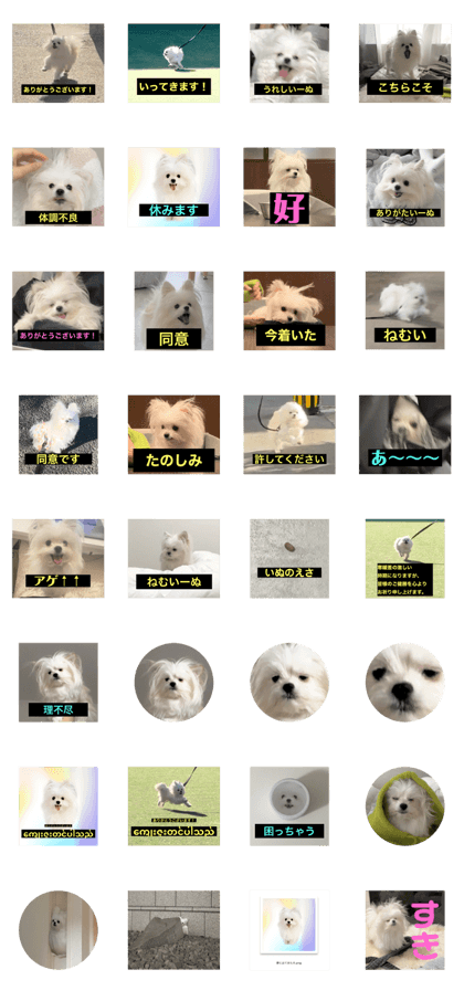 【スタンプ無料GET!】 字幕犬 やや使いやすいver(かわいーぬ)｜ Stampick! （スタンピック）