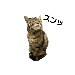 1ko_20230218081031 – LINE stickers | LINE STORE