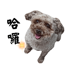 +Yan_20230217201947 – LINE stickers | LINE STORE