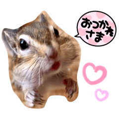 iam_coco - LINE スタンプ | LINE STORE