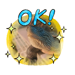 Vicky_20230218161153 – LINE stickers | LINE STORE